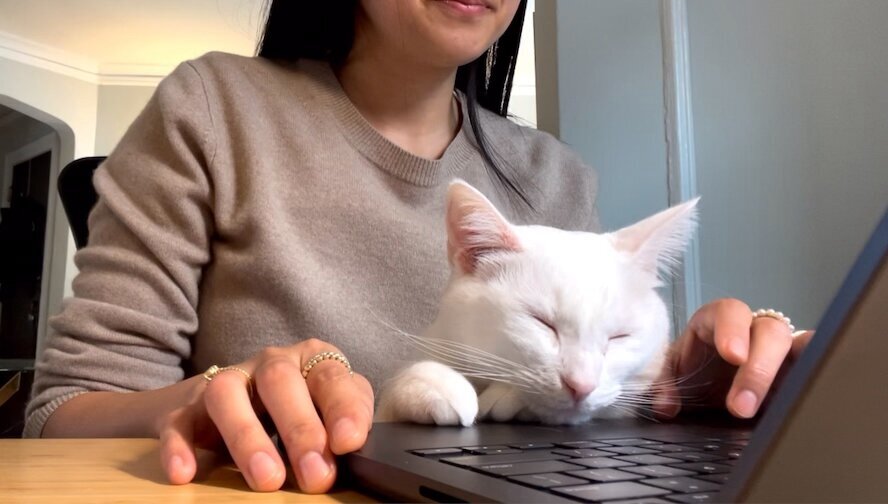 人気ポスト(@neko_ishokuju) - Yahoo!リアルタイム検索