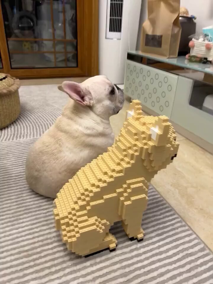 人気ポスト(@riku_o_o_) - Yahoo!リアルタイム検索