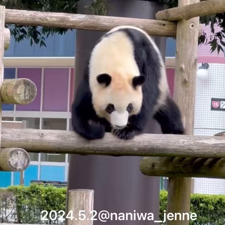 人気ポスト(@naniwa_jenne) - Yahoo!リアルタイム検索