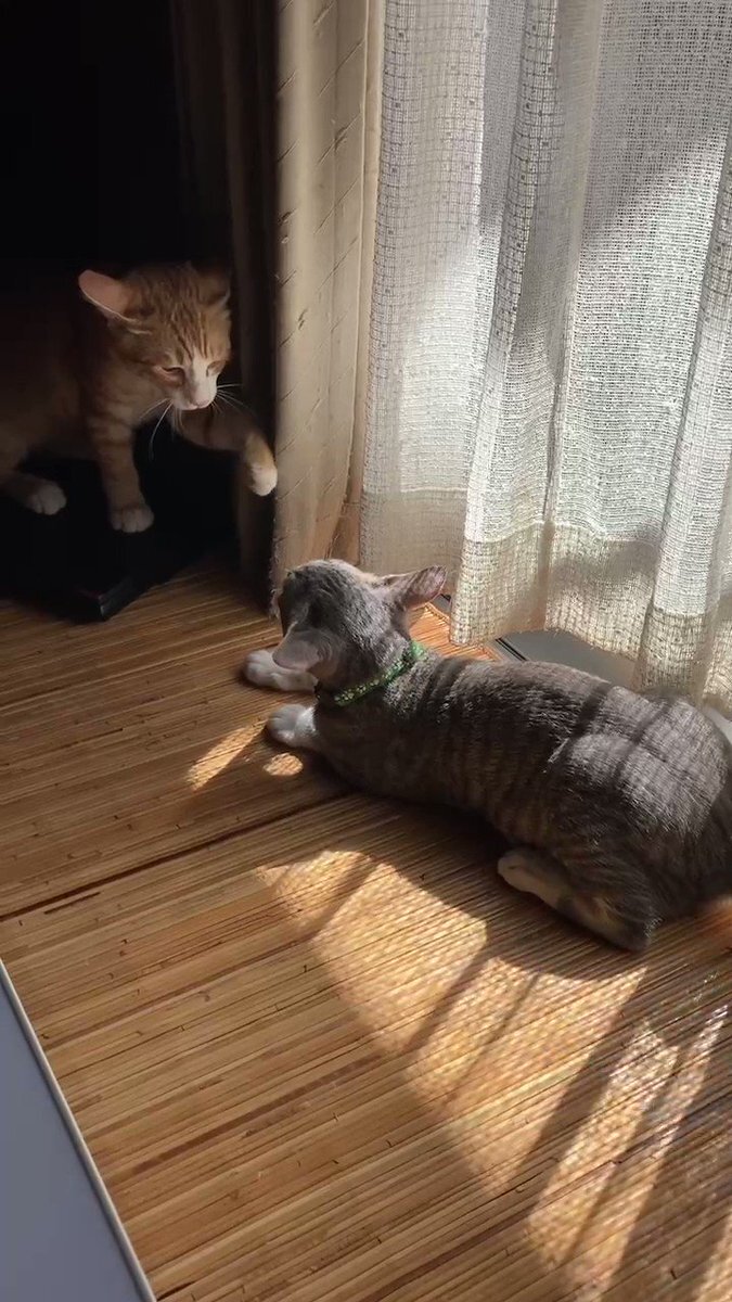 人気ポスト(@hinatabocco_k) - Yahoo!リアルタイム検索