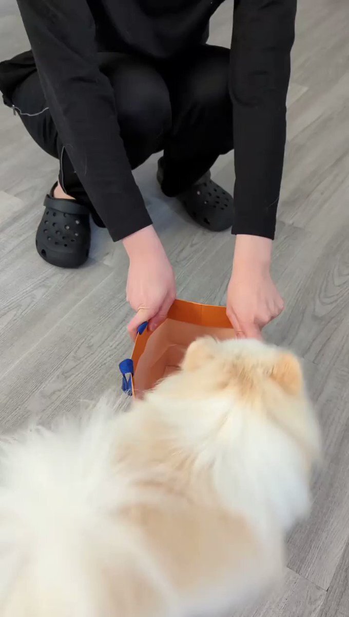 人気ポスト(@po_iz) - Yahoo!リアルタイム検索