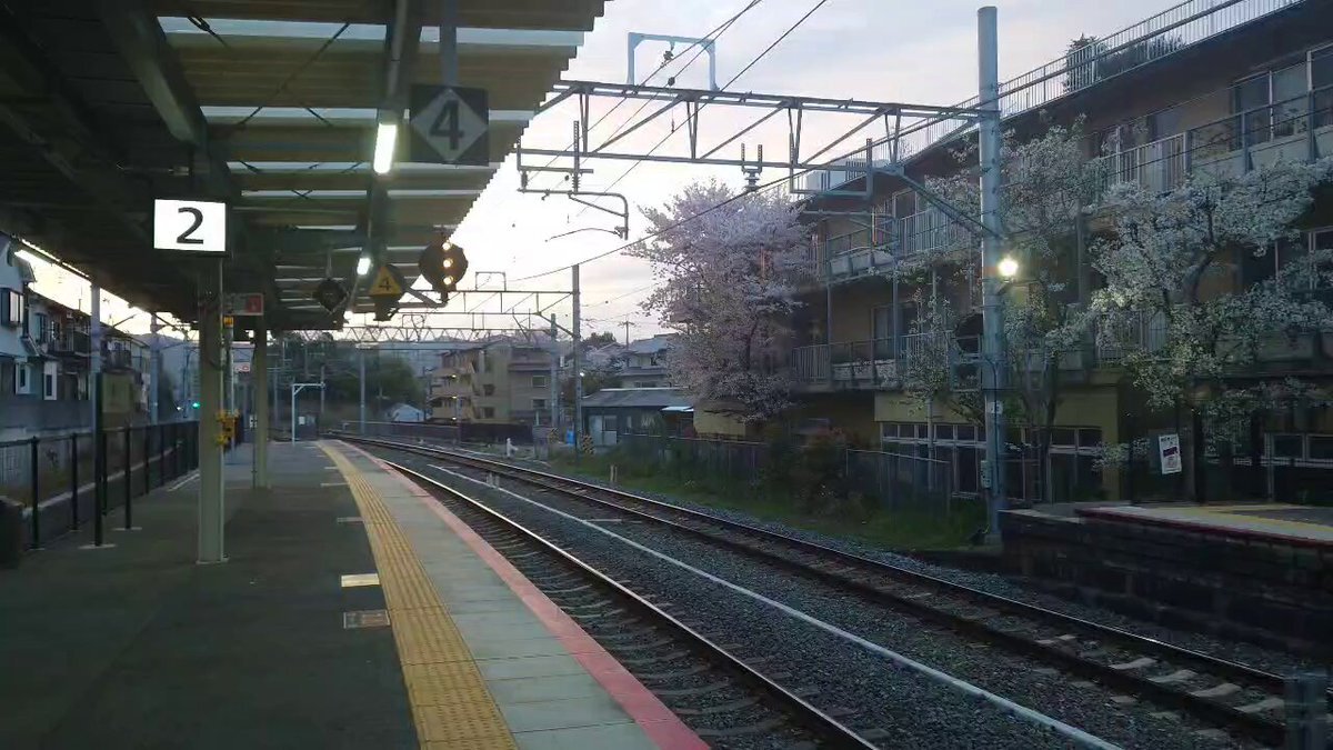 人気ポスト(@ogati_sampo) - Yahoo!リアルタイム検索