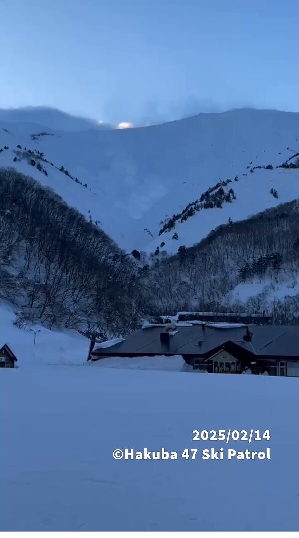 人気ポスト(@npo_jan) - Yahoo!リアルタイム検索