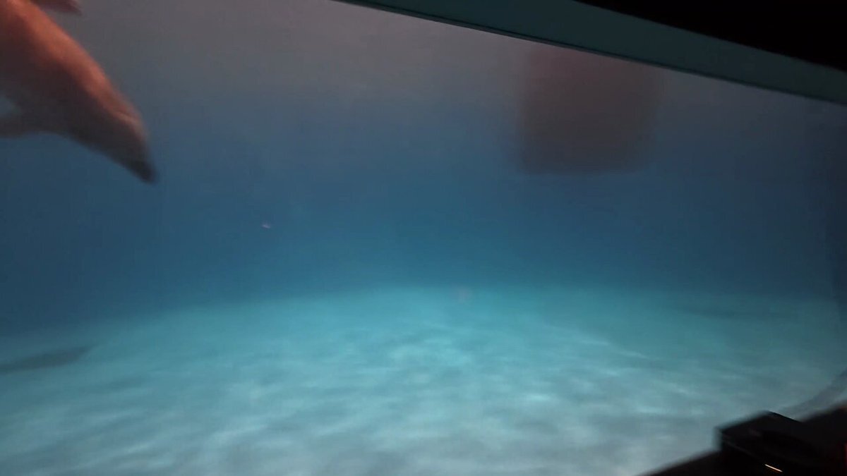 人気ポスト(@ioworld_aqua) - Yahoo!リアルタイム検索