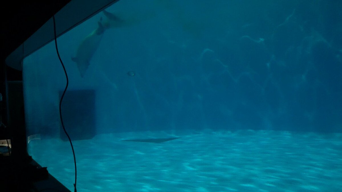 人気ポスト(@ioworld_aqua) - Yahoo!リアルタイム検索