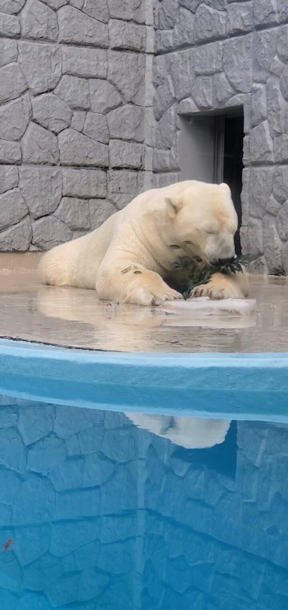 人気ポスト(@nhdzoo) - Yahoo!リアルタイム検索