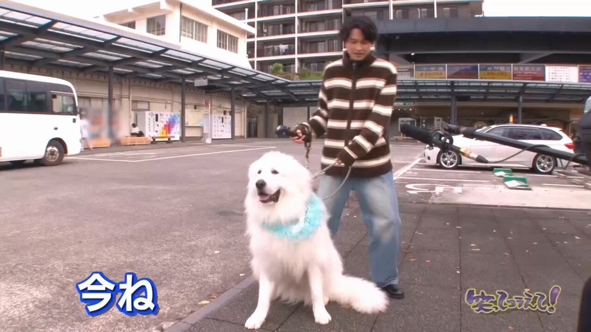 人気ポスト(@warakora_ntv) - Yahoo!リアルタイム検索