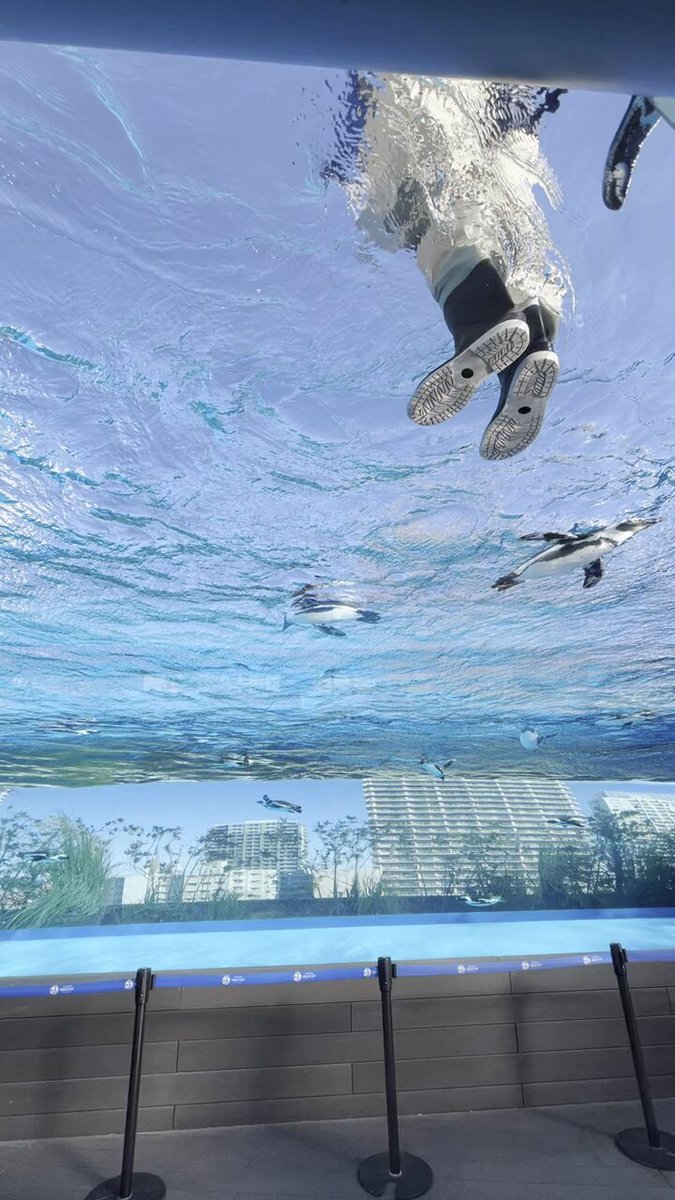 人気ポスト(@Sunshine_Aqua) - Yahoo!リアルタイム検索