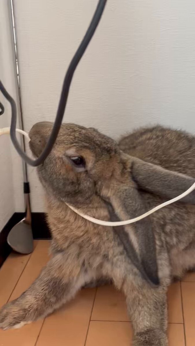 人気ポスト(@rem_0339) - Yahoo!リアルタイム検索