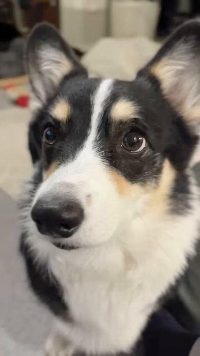 人気ポスト(@kiri_maro) - Yahoo!リアルタイム検索