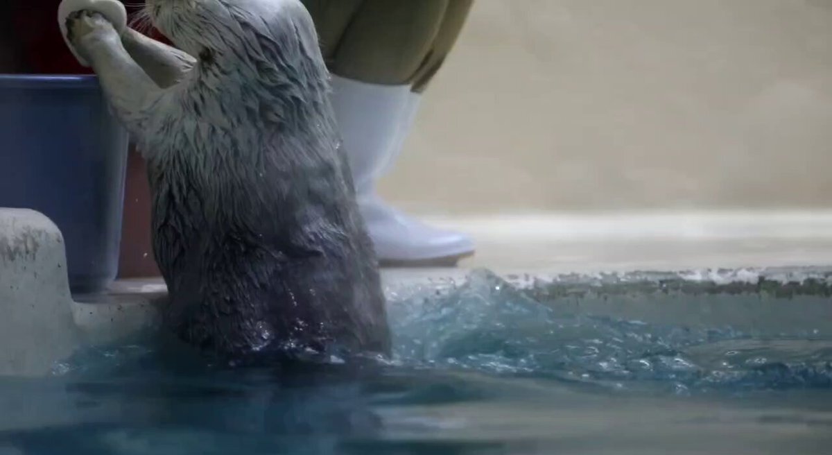 人気ポスト(@yumi_2612) - Yahoo!リアルタイム検索