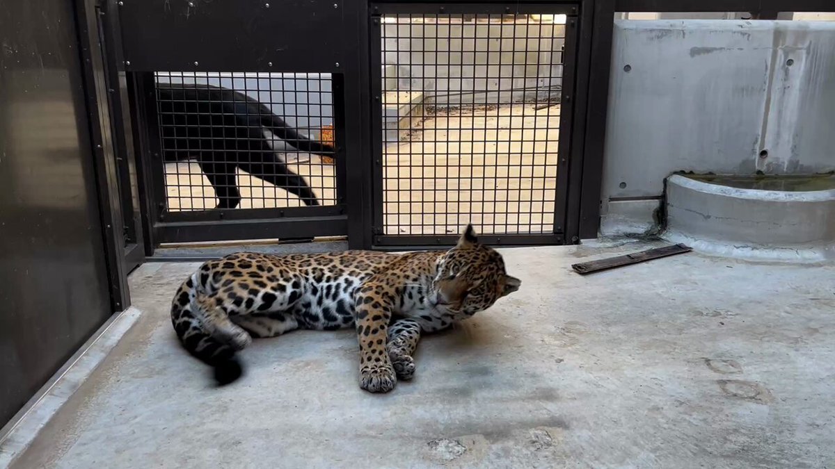 人気ポスト(@HitachiCity_Zoo) - Yahoo!リアルタイム検索