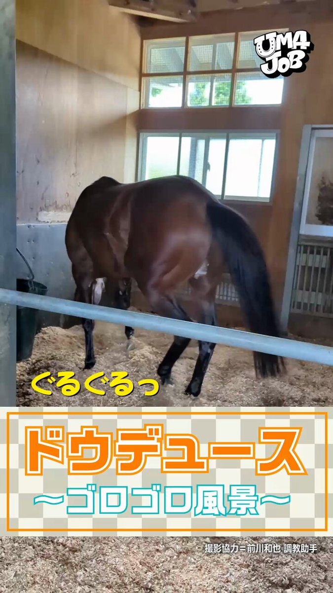 人気ポスト(@umajob_jra) - Yahoo!リアルタイム検索