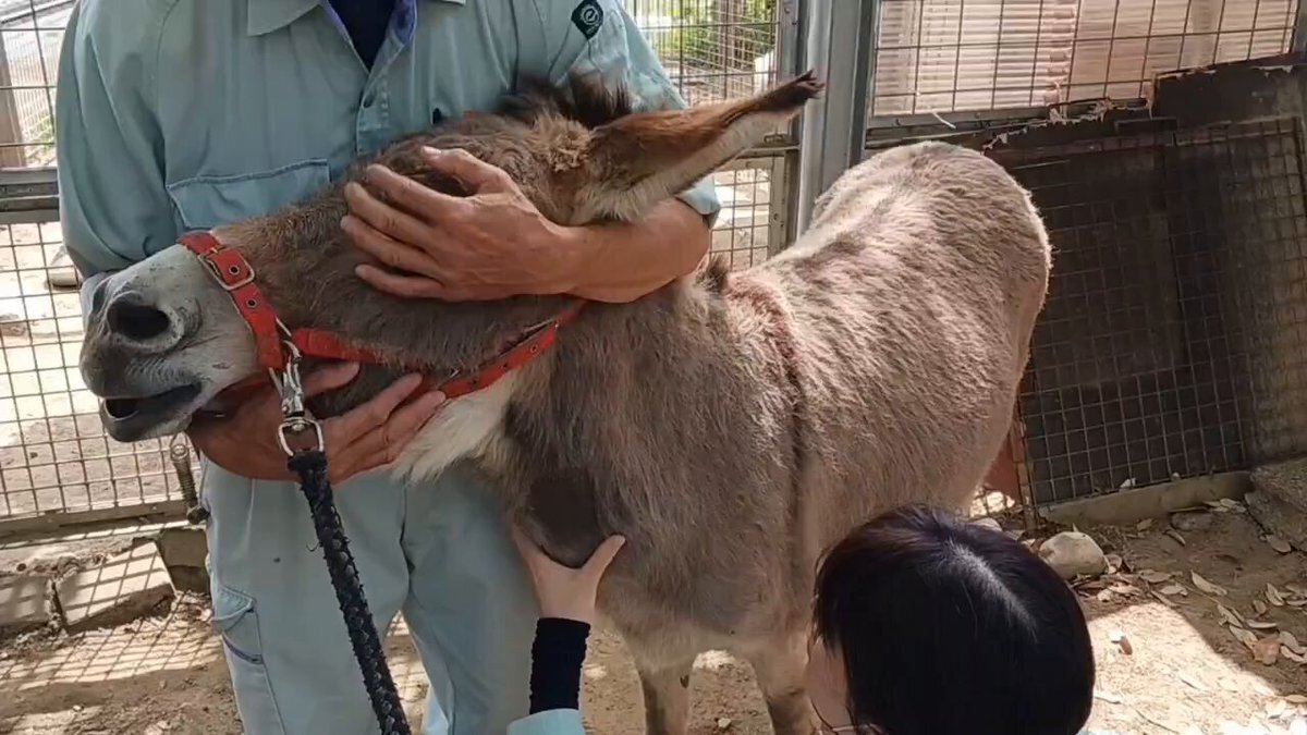 人気ポスト(@kofu_yuki_zoo) - Yahoo!リアルタイム検索