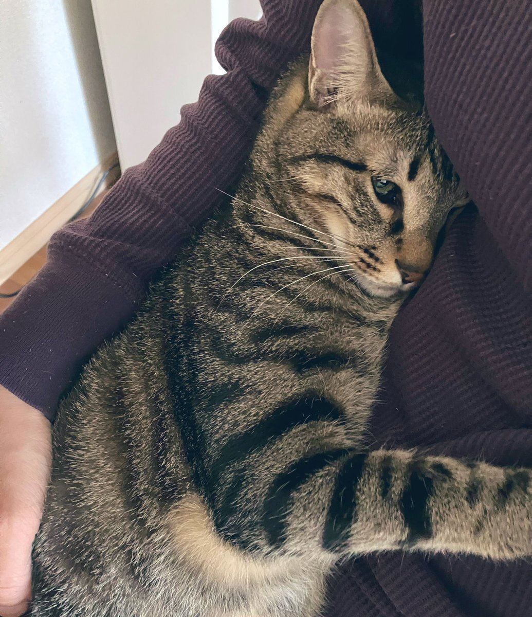 人気ポスト(@bubuchiyo) - Yahoo!リアルタイム検索