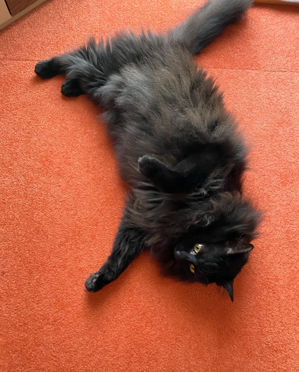 人気ポスト(@tsukimi_32) - Yahoo!リアルタイム検索