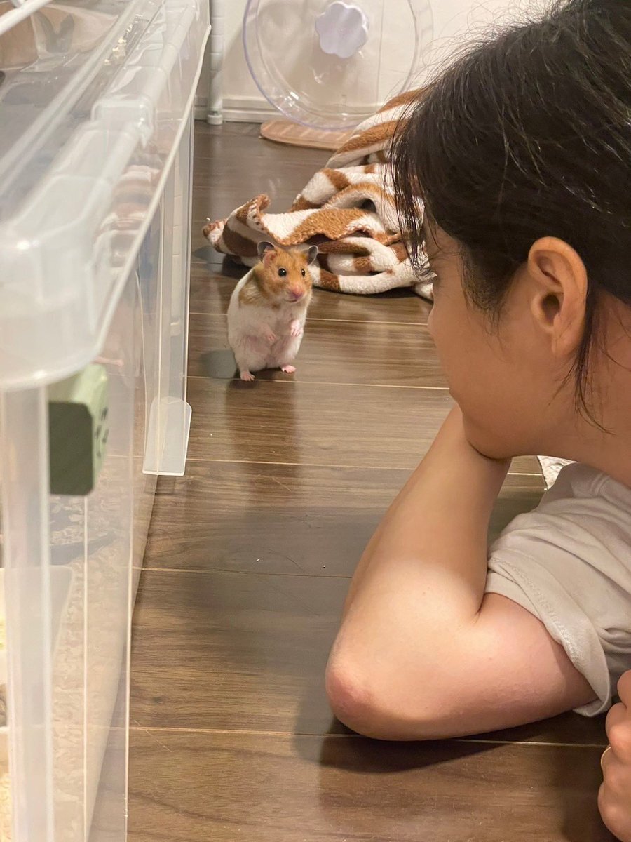 人気ポスト(@hamharu_ssk) - Yahoo!リアルタイム検索