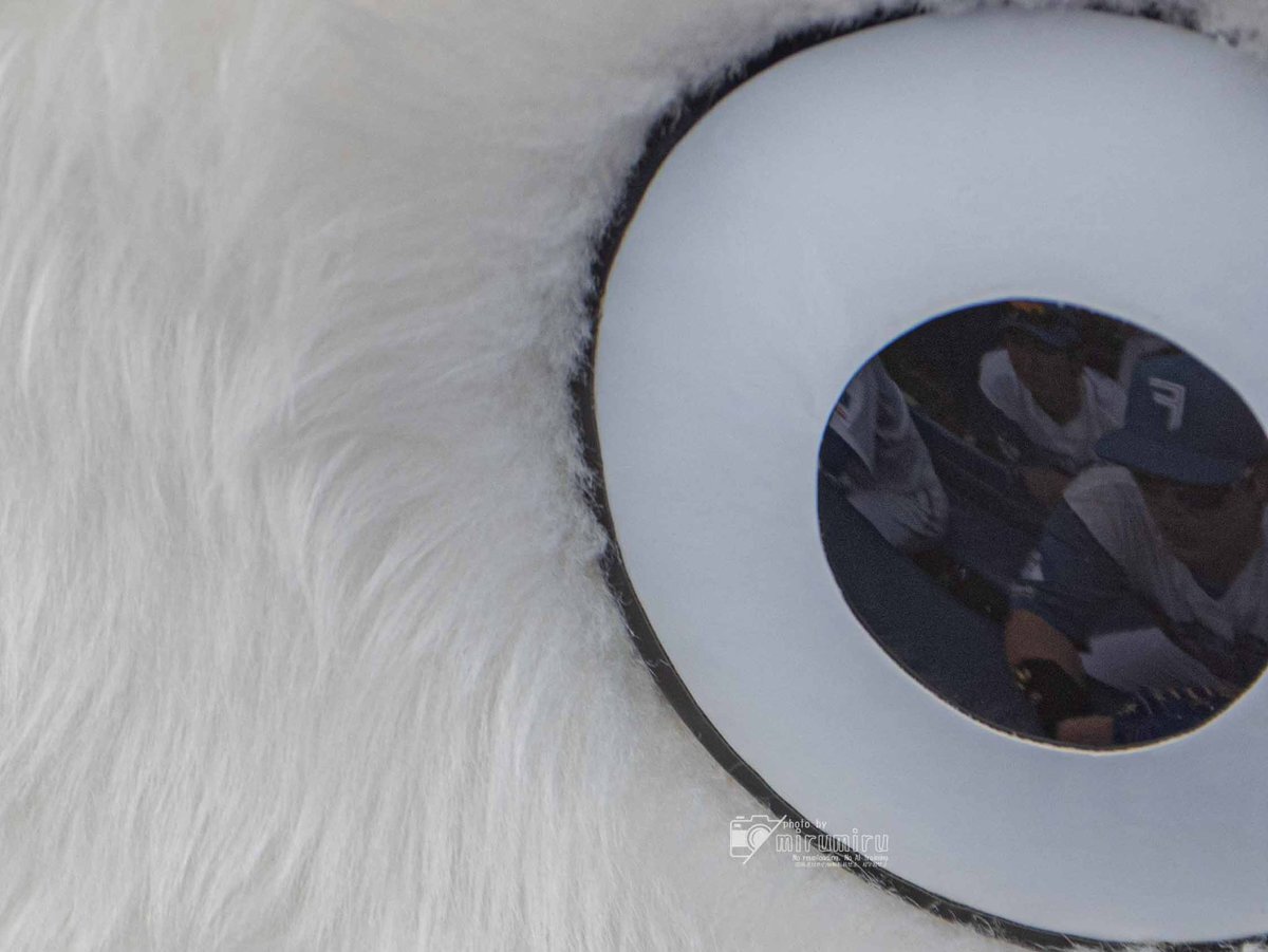 人気ポスト(@mirumiru_Fs23) - Yahoo!リアルタイム検索