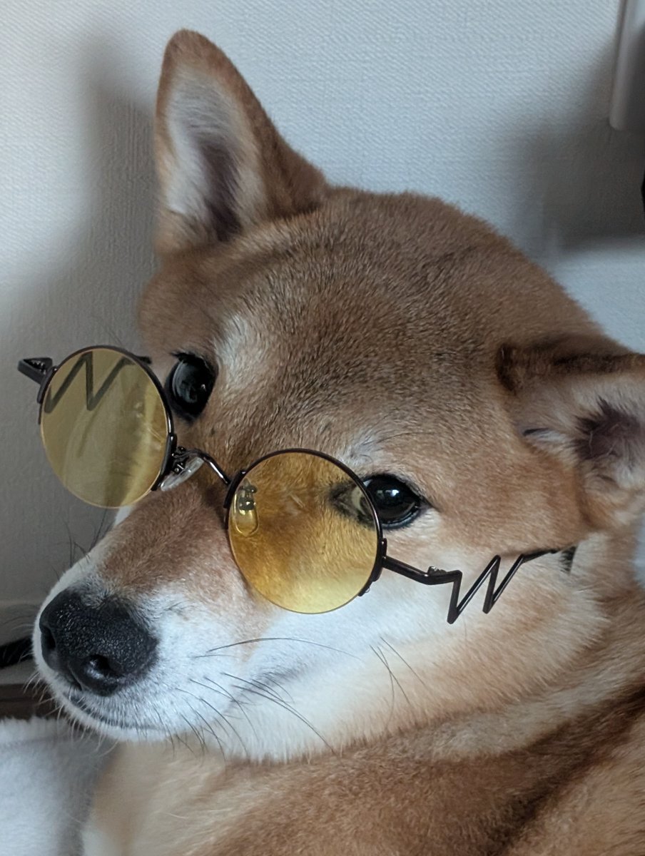 人気ポスト(@l_u_f_t_3) - Yahoo!リアルタイム検索