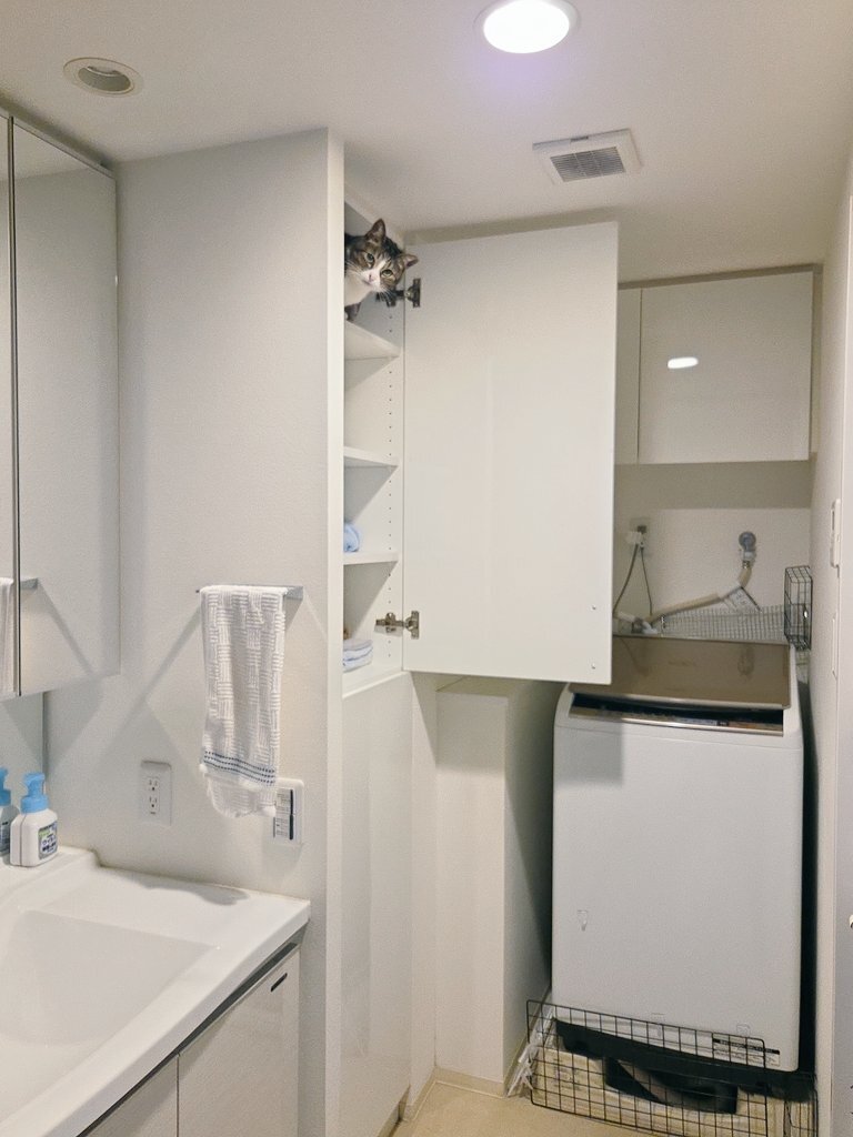 人気ポスト(@tsukuneneko) - Yahoo!リアルタイム検索