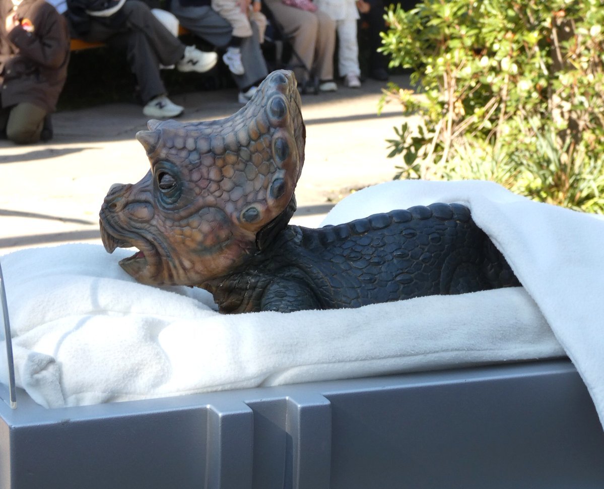 ジュラシックパークエリア」のX（旧Twitter）検索結果 - Yahoo!リアルタイム検索