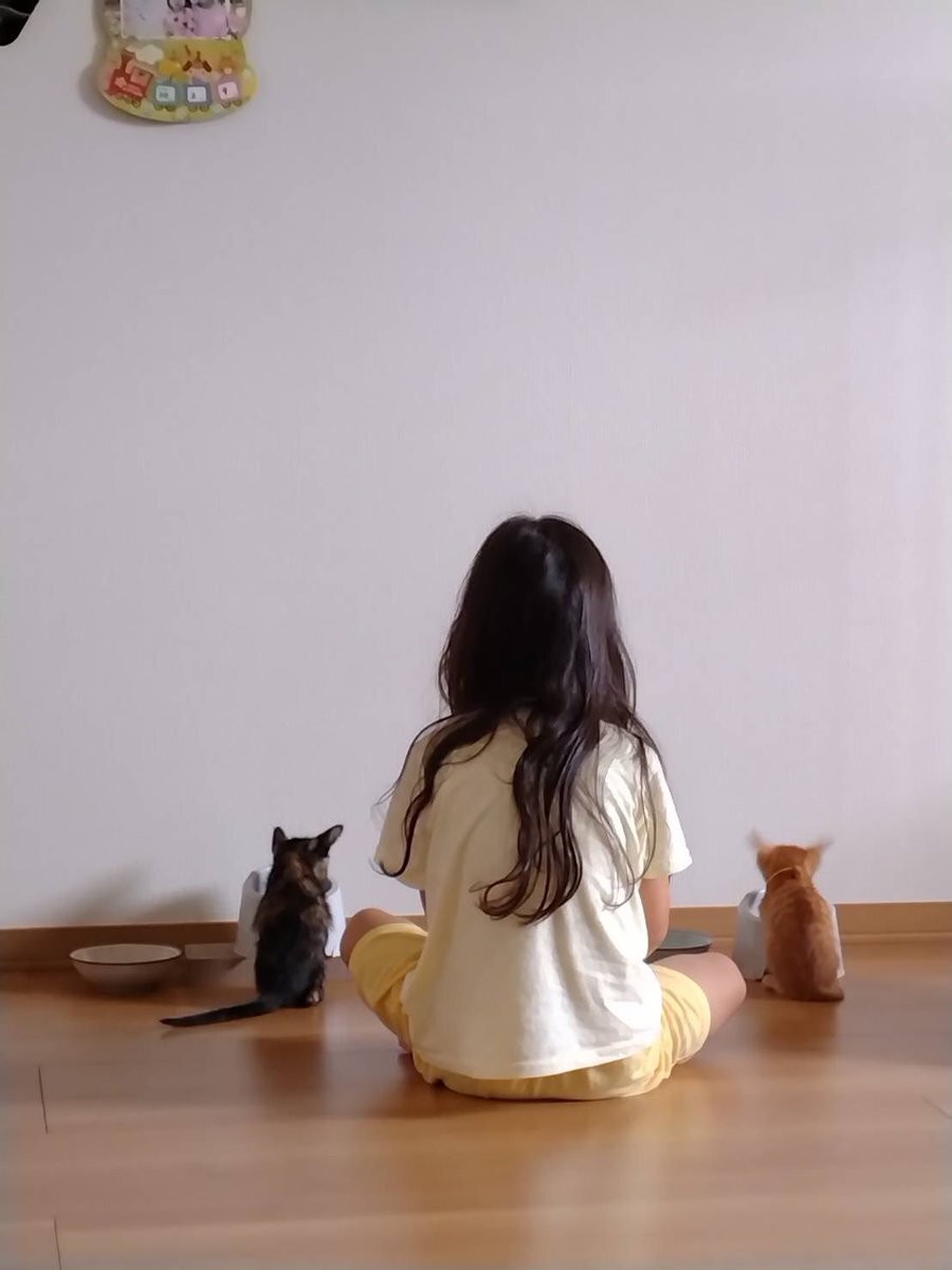 人気ポスト(@hinatabocco_k) - Yahoo!リアルタイム検索