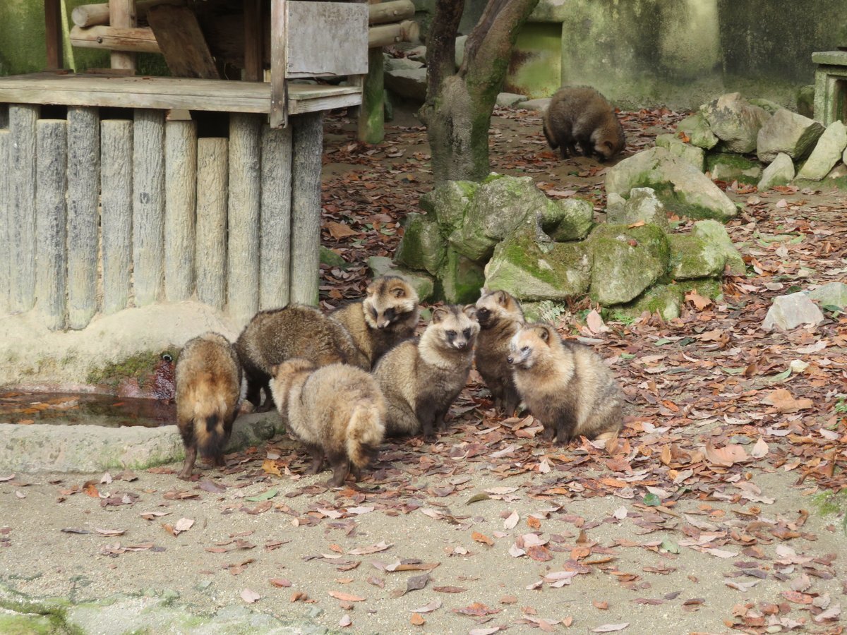 人気ポスト(@asa_zoo) - Yahoo!リアルタイム検索