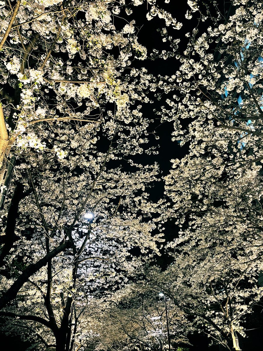 人気ポスト(@ystk_yrk) - Yahoo!リアルタイム検索