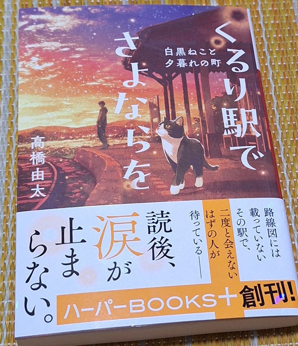 人気ポスト(@MtrdRie) - Yahoo!リアルタイム検索