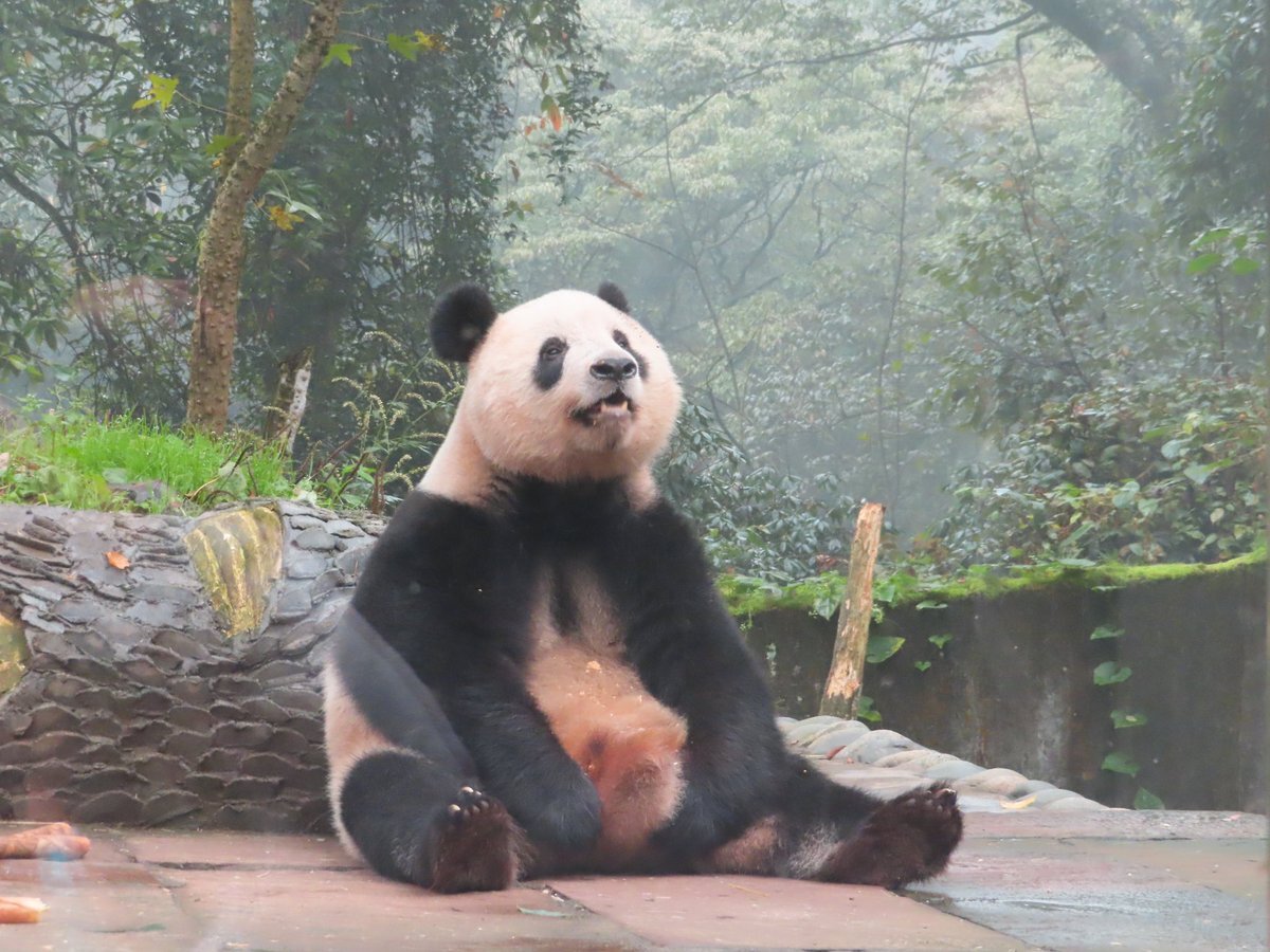 人気ポスト(@UENO_Info) - Yahoo!リアルタイム検索