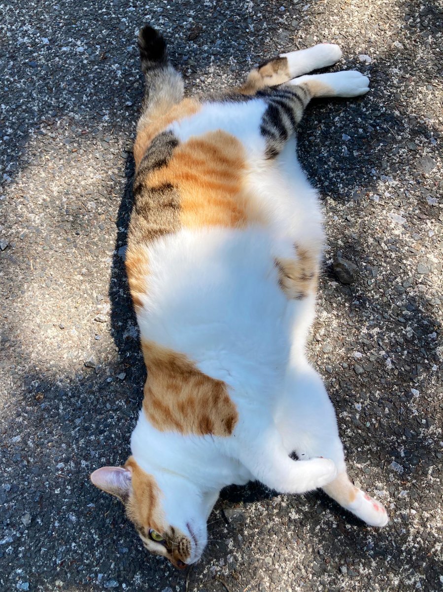 つぶやきピックアップ - Yahoo!リアルタイム検索