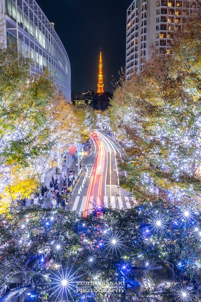 人気ポスト(@Yuji_48) - Yahoo!リアルタイム検索