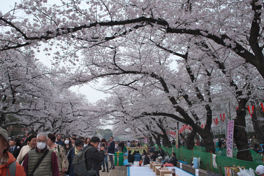 人気ポスト(@jpn_eee) - Yahoo!リアルタイム検索