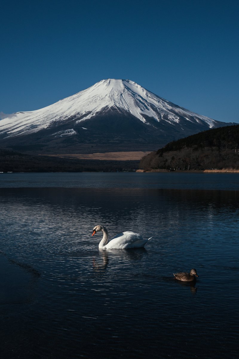 人気ポスト(@da_emi_) - Yahoo!リアルタイム検索