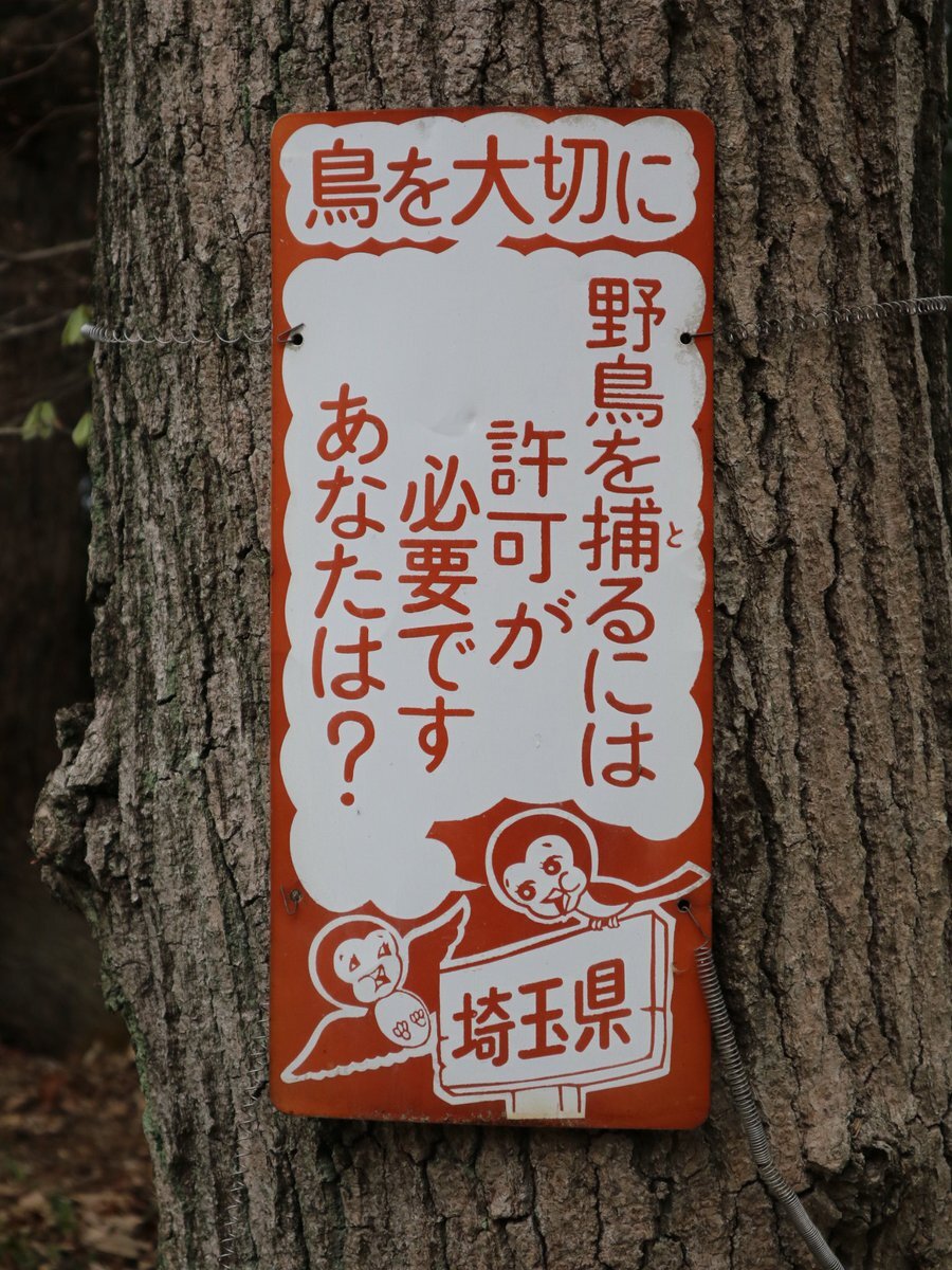 人気ポスト(@sato_h728) - Yahoo!リアルタイム検索