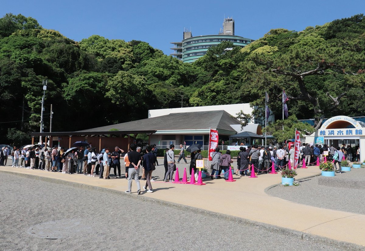 人気ポスト(@katurahama_aq) - Yahoo!リアルタイム検索