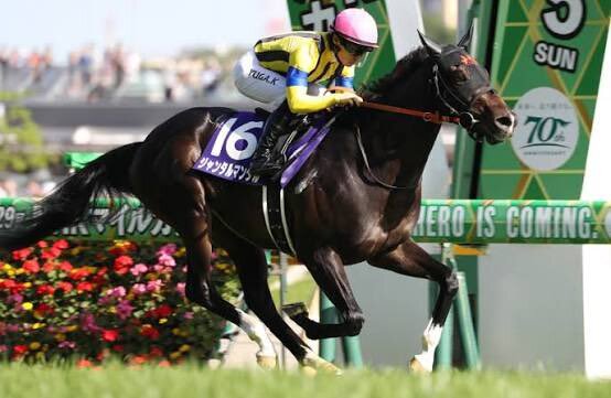 「nhkマイルカップ」のX（旧Twitter）検索結果 - Yahoo!リアルタイム検索