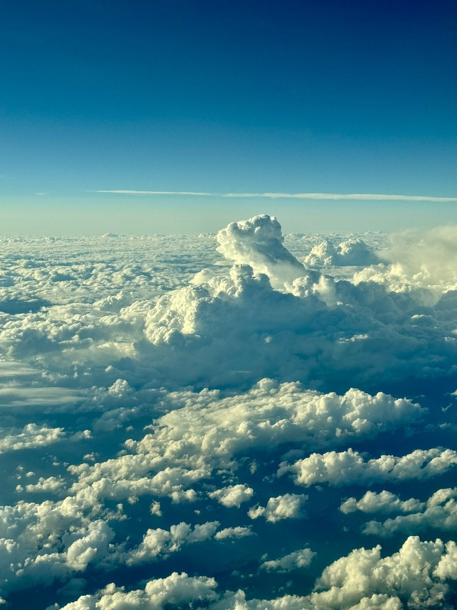 人気ポスト(@y_nakamaru_94) - Yahoo!リアルタイム検索