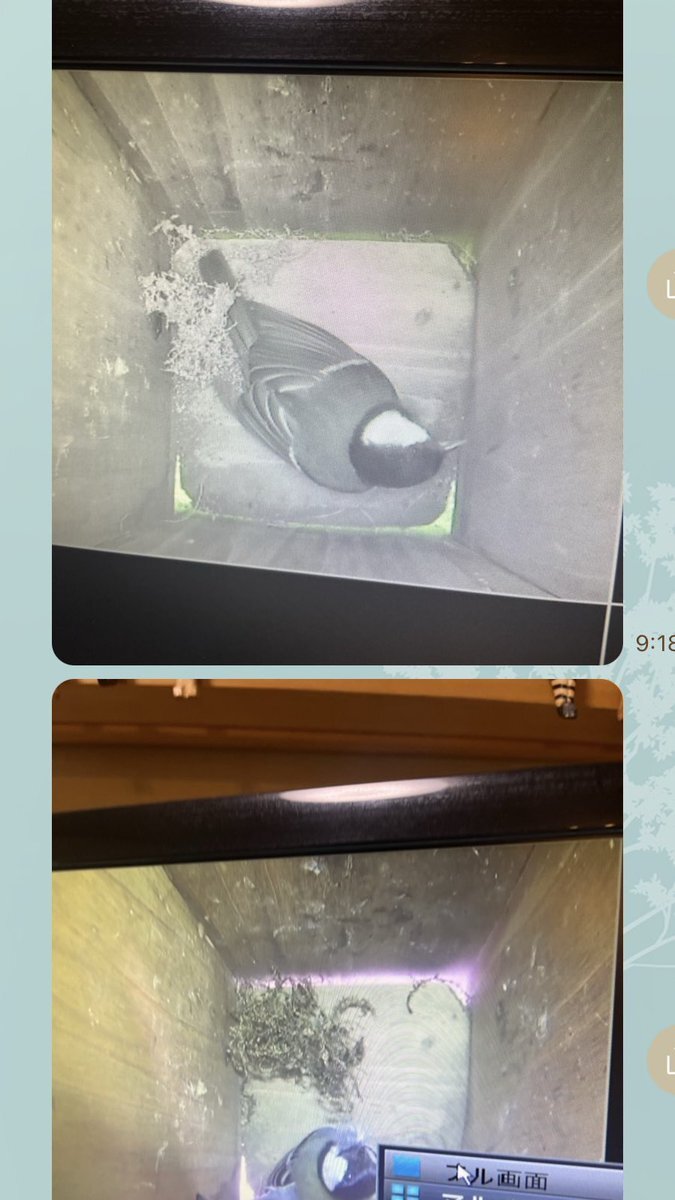 人気ポスト(@toshitaka_szk) - Yahoo!リアルタイム検索