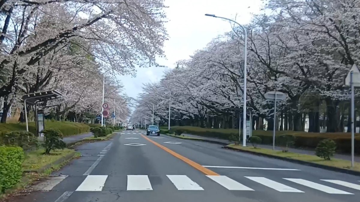 人気ポスト(@mamake_2) - Yahoo!リアルタイム検索