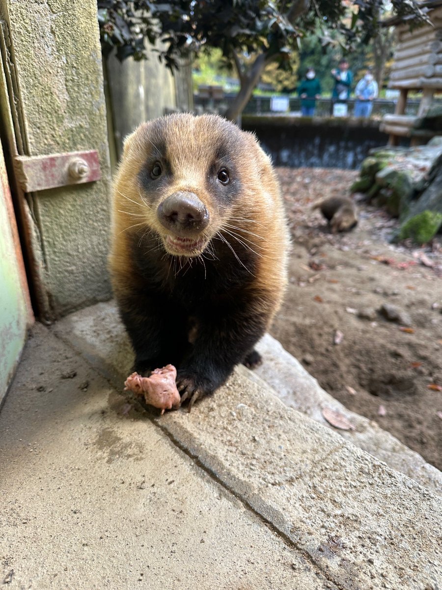 人気ポスト(@asa_zoo) - Yahoo!リアルタイム検索