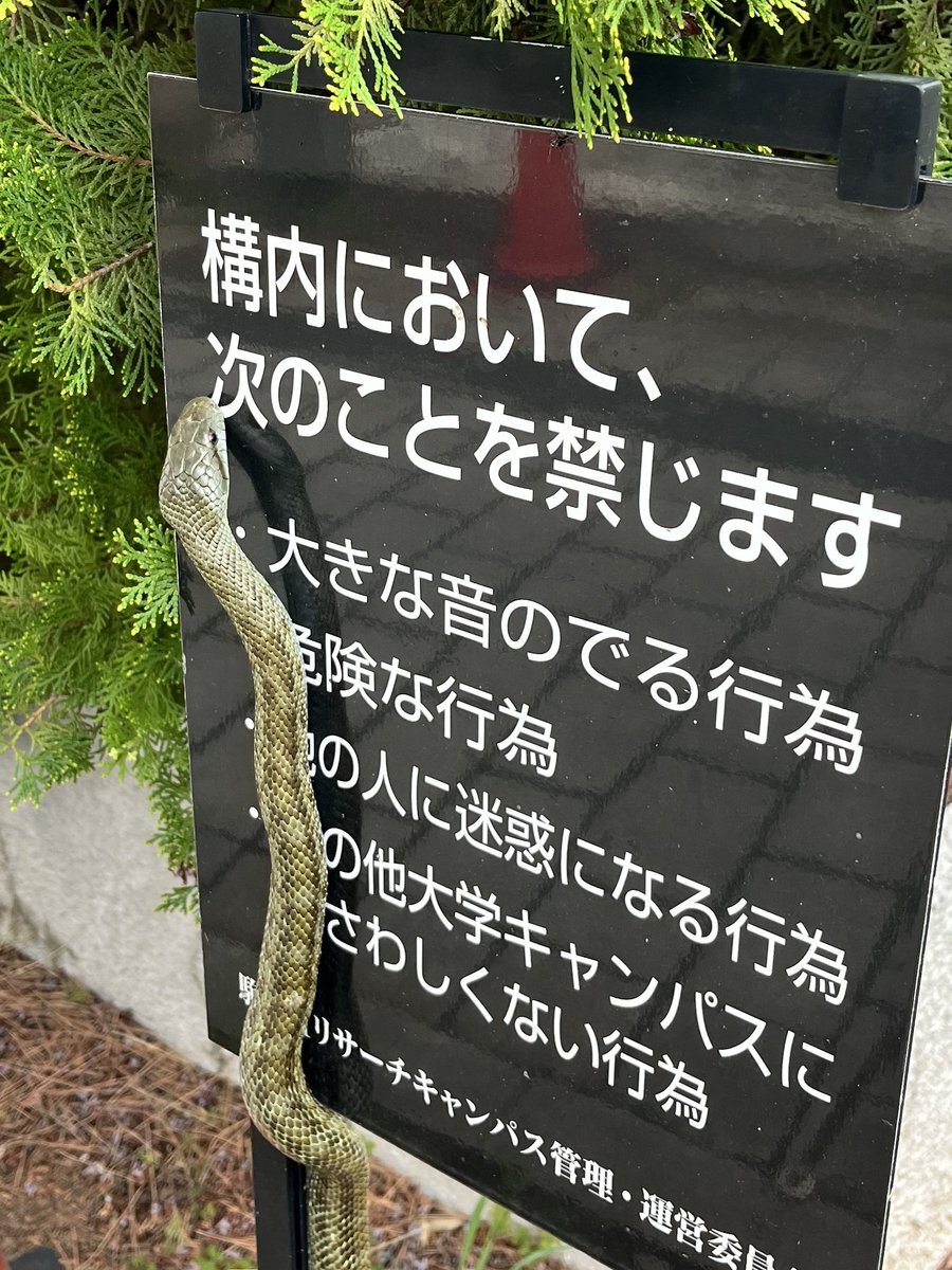 人気ポスト(@toshitaka_szk) - Yahoo!リアルタイム検索