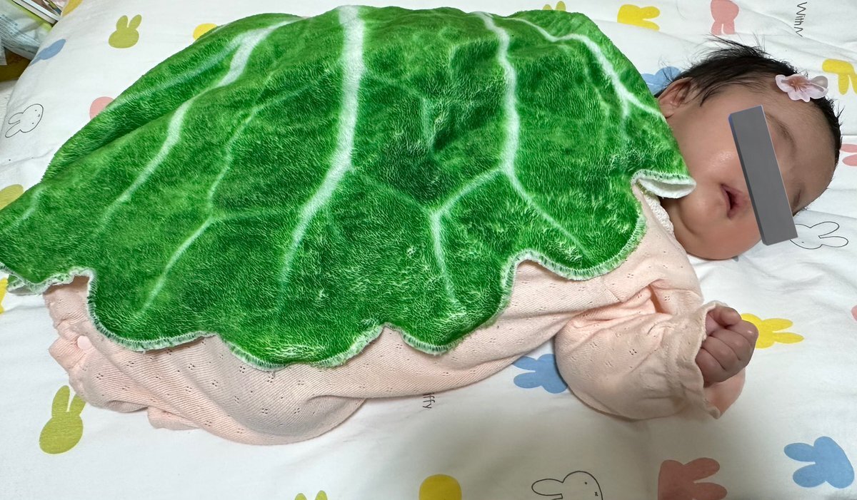 人気ポスト(@oga_otokoshika) - Yahoo!リアルタイム検索