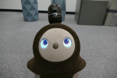 松岡昌宏と伊野尾慧、LOVOTでまさかの共通点とは？(2025/09/28)｜SNSのバズまとめ - Yahoo!リアルタイム検索