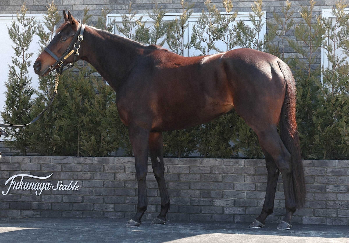 人気ポスト(@winkeiba_dm) - Yahoo!リアルタイム検索