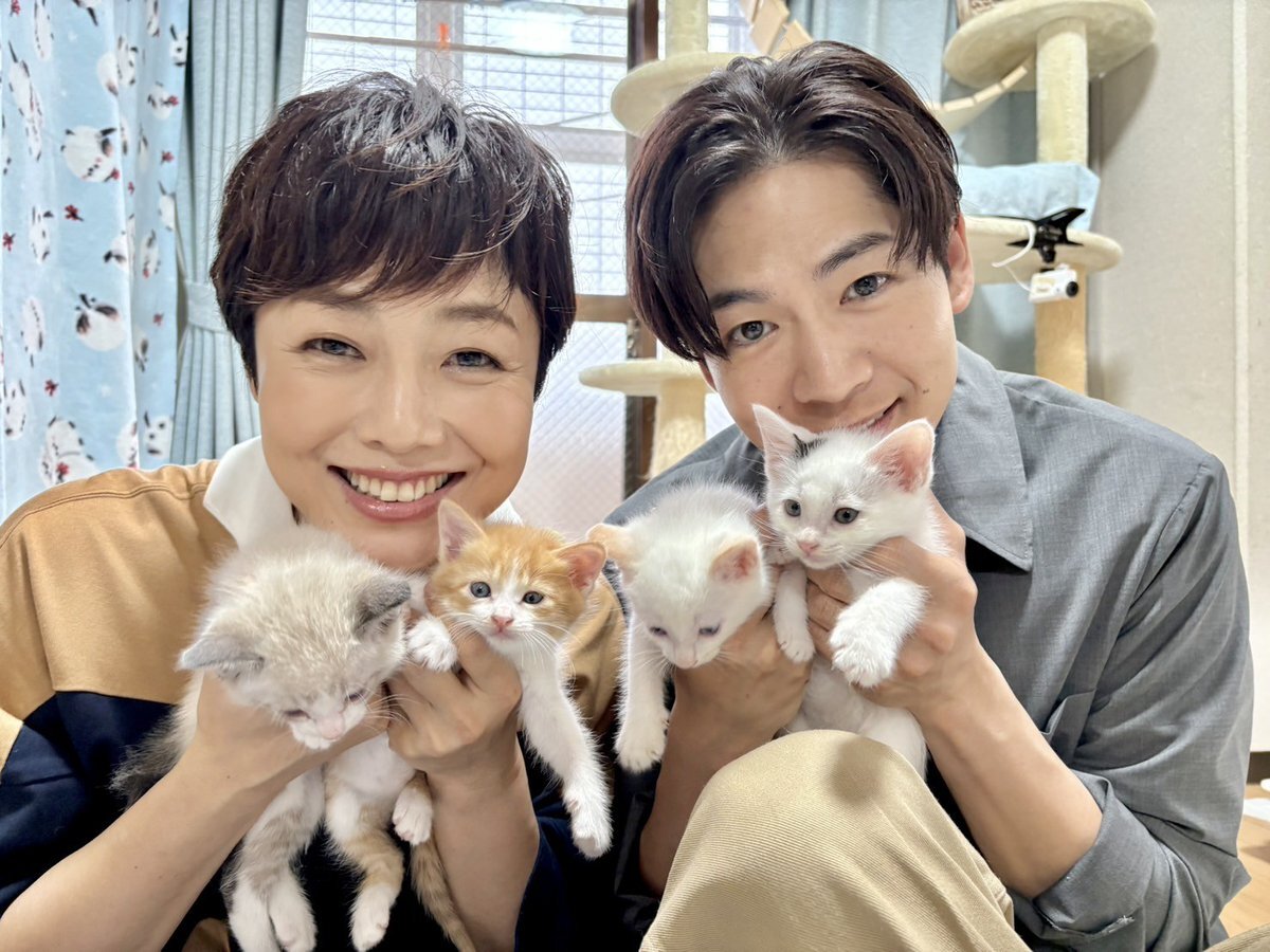 人気ポスト(@nittele_ntv) - Yahoo!リアルタイム検索