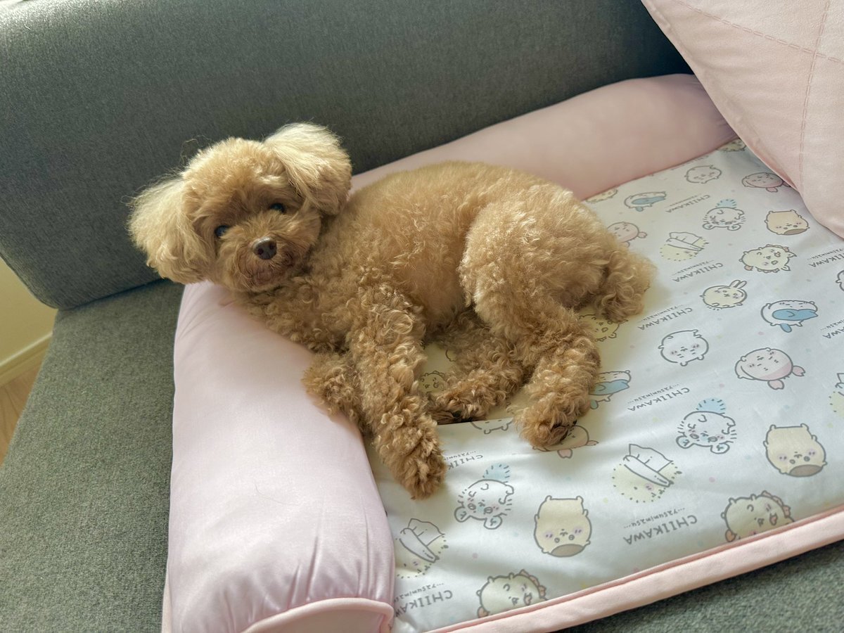 人気ポスト(@karaage_yosei) - Yahoo!リアルタイム検索