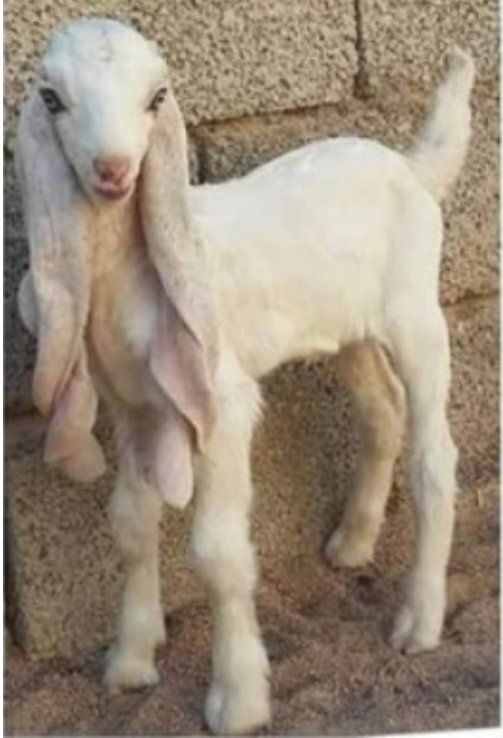 人気ポスト(@Tendo1064) - Yahoo!リアルタイム検索