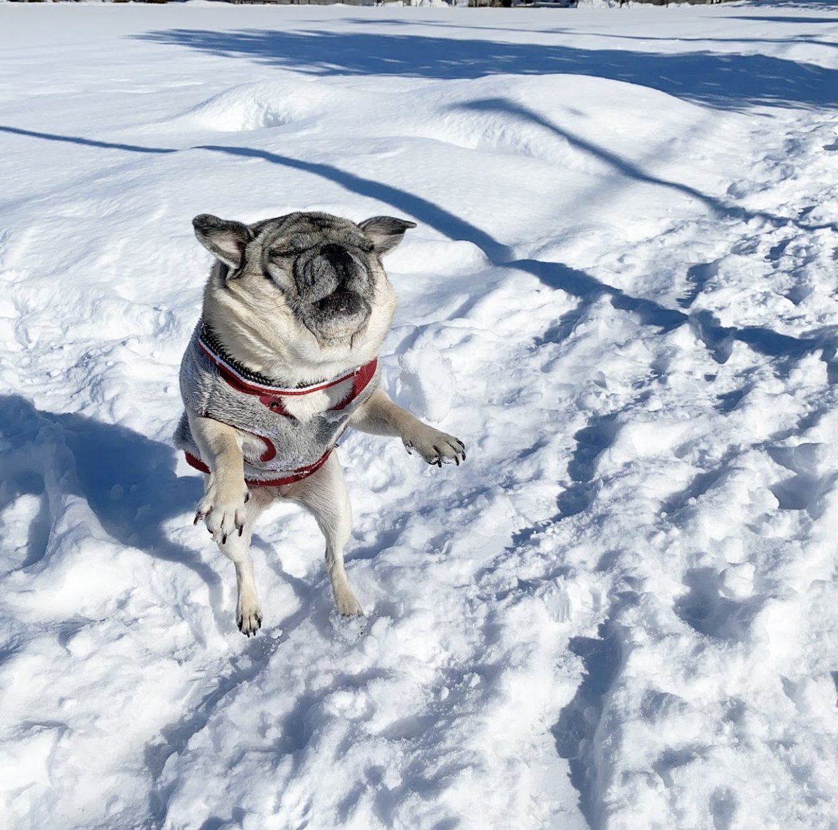 人気ポスト(@higu_nichi) - Yahoo!リアルタイム検索