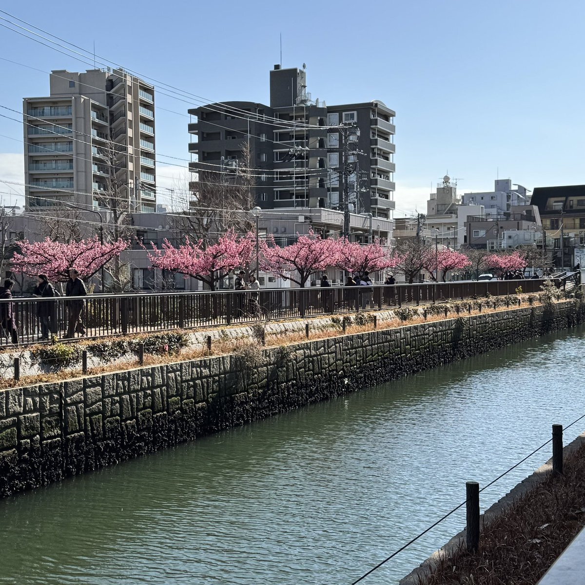 人気ポスト(@waku_016) - Yahoo!リアルタイム検索